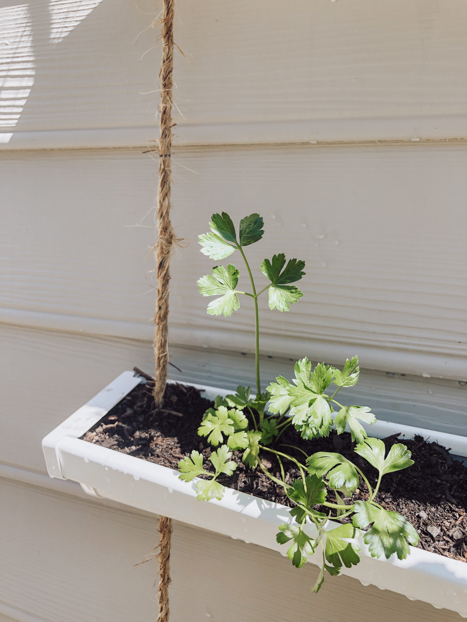 DIY gutter planters. | Amanda Fontenot - the Blog